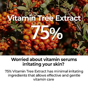 numbuzin No.5 Serum | Goodbye Blemish Serum | for Acne Scars with Vitamin C, Niacinamide, Antioxidant | Lightweight Gel, Korean Skincare for Face | 1.69 fl. oz.