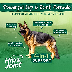 Vital Planet - Natural Hip and Joint Supplement for Dogs - Potent Herbal Blend with Green Lipped Mussel, MSM and Glucosamine (120 Chewable Tabs)