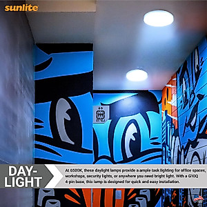 Sunlite 41314 FC8T9/DL 8-Inch T9 Round Fluorescent Circline Lamp, 22 Watts, 1050 Lumens, 6500K Daylight, G10Q 4-Pin Base, 1 Pack