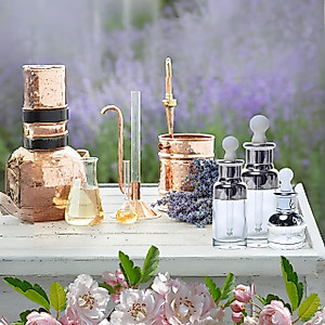 Luxury Clear Glass Dropper Bottles - Thick 2oz (50ml) Leakproof Eye Dropper Bottles for Essential Oils, Perfumes, Face Serums, Beauty & Personal Care, Tinctures, Travel (2oz. Silver)