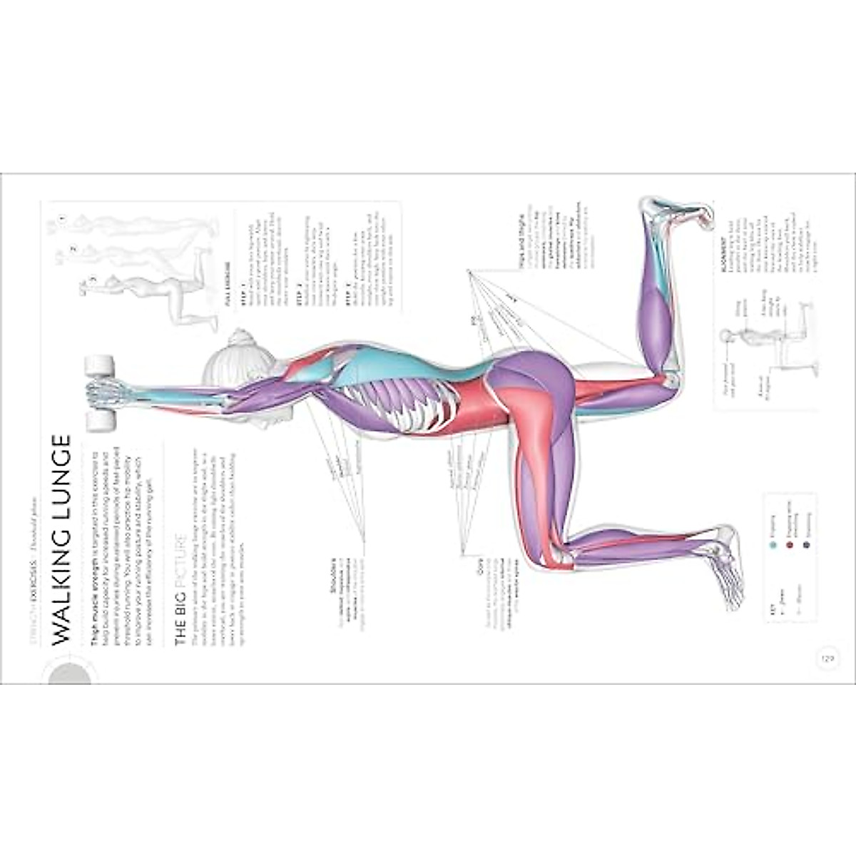 Science of Running: Analyze your Technique, Prevent Injury, Revolutionize your Training (DK Science of)