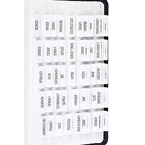 DiverseBee Laminated Bible Tabs (Large Print, Easy to Read), Bible Journaling Supplies, Bible Book Tabs, Christian Gift, 66 Bible Tabs Old and New Testament, Includes 11 Blank Tabs (Magnolia)