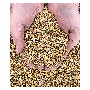 New Country Organics Soy-Free, Corn-Free, Layer Feed for Laying Hens, 25 lbs