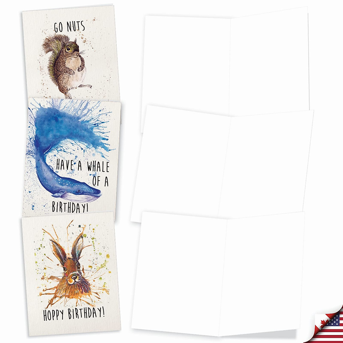 The Best Card Company - 10 Blank Happy Birthday Note Cards - Assorted Bulk Cute Humorous Animal Pun Birthday Greeting Cards Boxed Set (4 x 5.12 Inch) - Wildlife Expressions M2954BDB