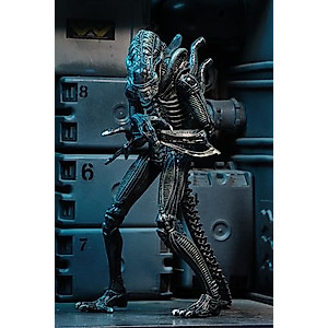 NECA - Alien- 7" Scale Action Figures - Ultimate Warrior - (1986) Blue Alien