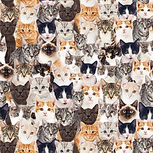 The Paragon Cat Umbrella - Compact & Portable Accessory with Photo-Realistic Kitty Images