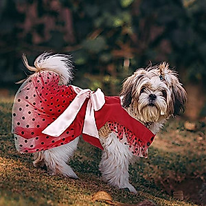 MAZORT Dog Dresses for Dogs Girl, Cute Retro Polka Dot Puppy Tutu Princess Dress, Soft Pregnant Pet Clothes with Adjustable Bowknot for Birthday Party (X-Small)