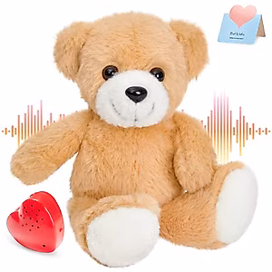 CozyWorld 12" Heartbeat Recordable Teddy Bear,Voice Recorder Plush Toy Stuffed Animal Soft Fuzzy Doll Gifts Messages Recording Playback for Kids Birthday Children's Day