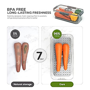 Vacream Vegetable and Fruit Storage Containers for Fridge Organizer Refrigerator,refrigerator organizer bins(Va-Stackable-Grey)