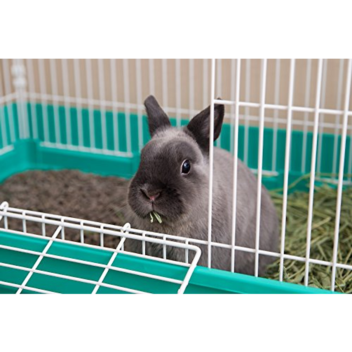 IRIS USA Medium Wire Animal House, Easy to Clean Cage with Wide Access Drop Down Door for Small-Sized Pets Animals Rabbits Guinea Pigs Rats, Green