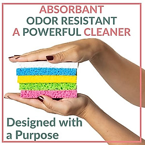 bioGo 10 Pack Compostable Pop-Up Sponges - Expanding, Non-Scratch, Plant-Based Dish Sponges - 10 Color Sponges - Compostable Pop Up Sponge - Rainbow Sponges - Kitchen Pop Up Sponges