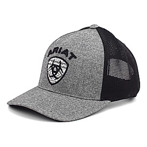 ARIAT Men's Flexfit 110 Aztec Logo Snapback, Grey