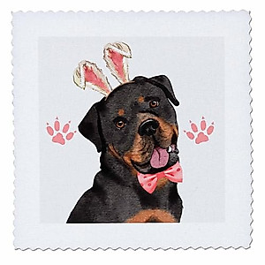 3dRose Rottweiler Dog in Pink Easter Bunny Ears and Bow for Dog Lover - Quilt Squares (qs-378966-2)
