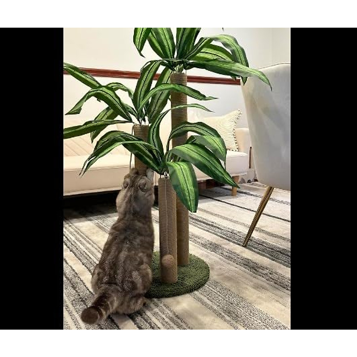 LEMONDA 31.5Inch Cat Scratching Post,Cat Scratcher Tree with 3 Scratching Poles & 2 Interactive Dangling Balls,Cats Scratching Posts for Indoor Kitten & Adult Cats