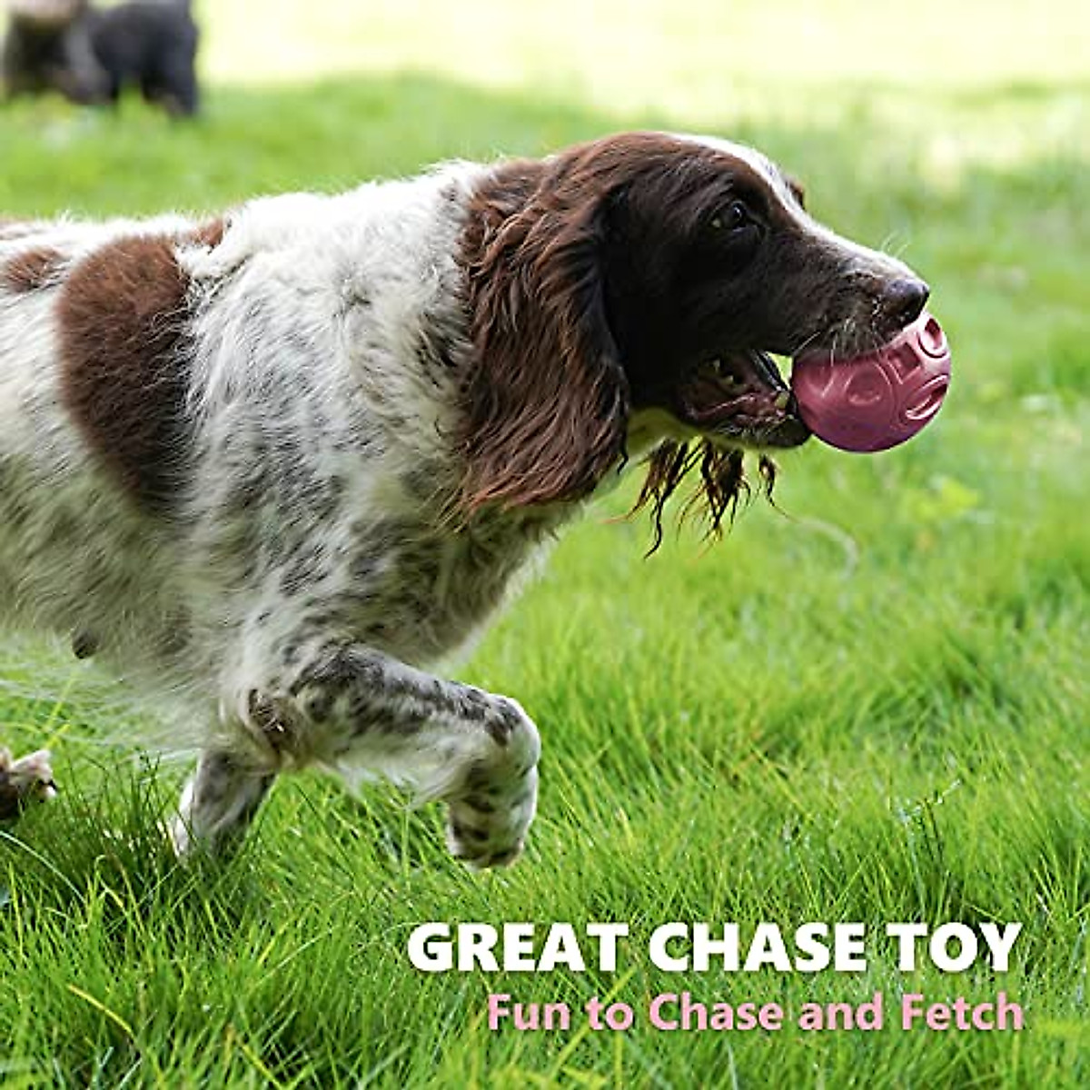 EASTBLUE Squeaky Dog Toys for Aggressive Chewers: Rubber Puppy Chew Ball with Squeaker, Almost Indestructible and Durable Pet Toy for Medium and Large Breed