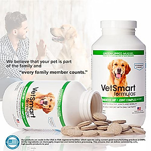 Joint Supplement for Dogs - Green Lipped Mussel, MSM + Glucosamine Formula - Helps to Restore Mobility, Relieve Arthritis & Hip Dysplasia Pain, Reduce Inflammation, No Artificial Flavors (Pack of 1)
