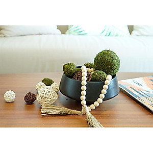 Qingbei Rina Moss Ball with Dried Flower,4" Large Hanging Decorative Ball,Vase Bowl Filler for Fall Autumn Home Farmhouse Wedding Garden Decoration Handmade Craft(White, 6 Packs)-Unscented