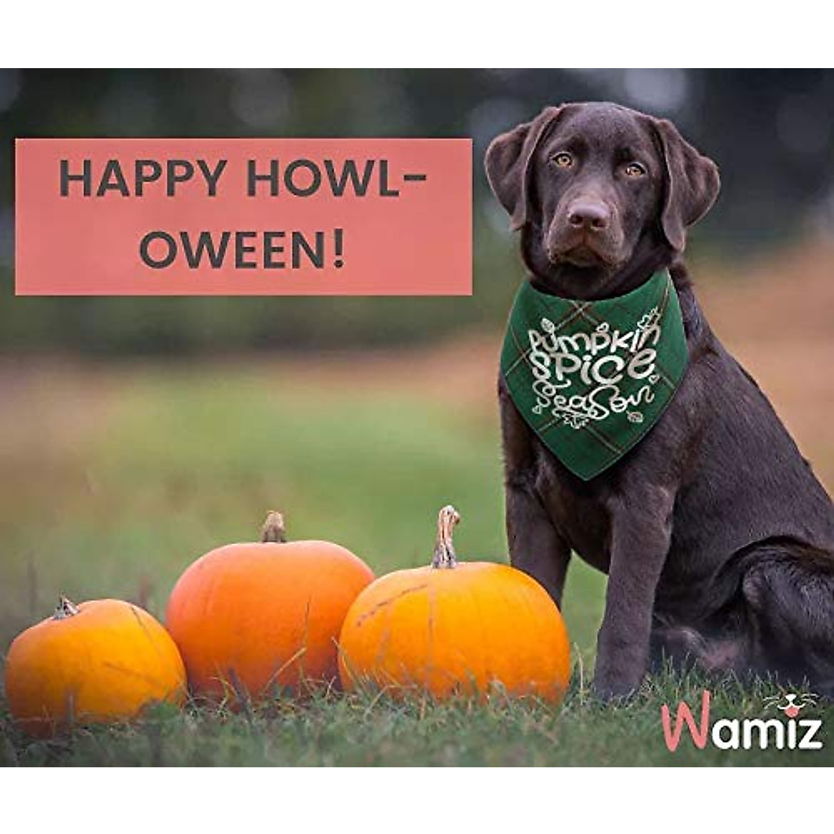 Thanksgiving Dog Bandana,Fall Bandanas for Puppy Cat Small Large Dogs