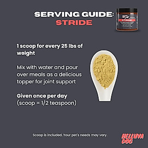 Homescape World Stride by Helluva Dog — Joint Support Meal Topper for Active Sporting Dogs — Green Lipped Mussel & Turmeric Powder for Mobility & Recovery 4oz