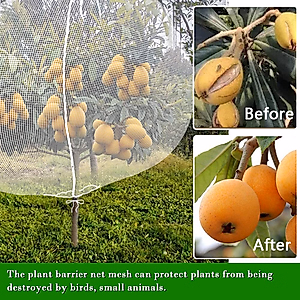 Fruit Tree Netting Large Fruit Tree Covers with Zipper to Protect Fruit from Squirrels and Birds Netting for Fruit Trees Fruit Tree Net Protection 71" x 75", 1 Pack