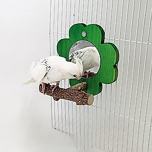 Bird Parakeet Mirror for Cage,Parrot Perch Stand,Wooden Hummingbird Swing Toy,Parakeet Accessories for Cockatiels Conure Finch Lovebird Canary African Grey Macaw (Clover)