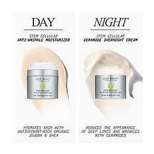 Juice Beauty Stem Cellular Day & Night Duo - Includes Anti-Wrinkle Moisturizer + Anti-Wrinkle Overnight Cream - Hydrates + Improves Fine Lines and Wrinkles - Vegan, Cruelty Free