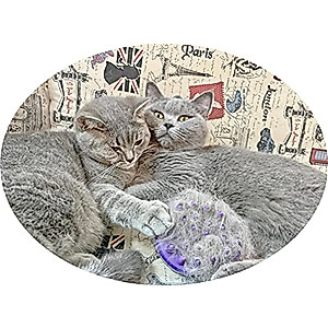 THKUTRUST Pet Brush, For Grooming,Shedding hair, Bathing, and Massaging .Non-Toxic, Easy to Clean, Round-Shaped (Purple)