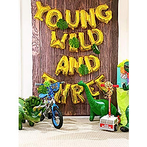 LaVenty 13PCS Young Wild and Three Balloon Young Wild and Three Banner Young Wild and Three Decorations for Boy Girl Third Birthday Decorations 3 Year Old Birthday Decor 3rd Birthday Balloon
