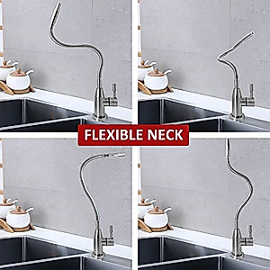 Upgrade Drinking Water Faucet with Flexible Gooseneck, 360 Degree Rotatable Water Filter Faucet, Kitchen Bar Sink Faucet Lead-Free Cold Water Faucet - Brushed Stainless Steel by Lesica-RY