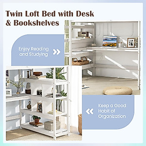 Giantex Twin Loft Bed with Desk and Stairs, Solid Wood High Loft Bed with 4-Tier Storage Shelves, Loft Bed Twin Size for Adults, Teens, Kids, Boys & Girls, No Box Spring Needed, White