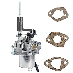LIYYDS Carburetor Compatible with Ariens 20001171 L15D 20001027 20001368 920403 921023 921024 921030 921317 921319 921321 921322 2T24LET SS21 1208E 208EC 208R ST24LE ST28DLE 254cc