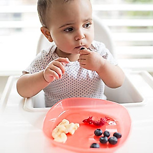 Dr. Brown's Stackable Plates for Toddlers and Babies, BPA Free, 4-Pack, 4m+