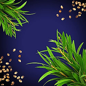 Suave Men 2 in 1 Refreshing Shampoo and Conditioner Tea Tree Hemp Seed To Revitalize and Refresh Hair 28 oz