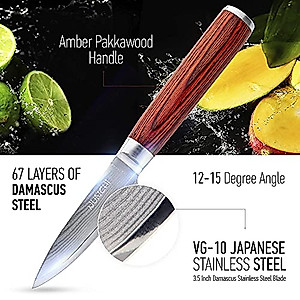 Damascus Paring Knife, 3.5 inch Japanese VG-10 Stainless Steel Super Sharp Small Kitchen Knives With Pakkawood Handle
