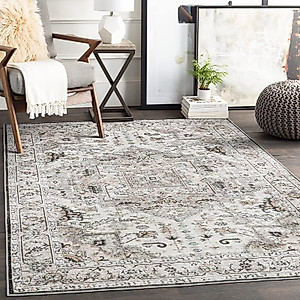 xilixili 8x10 Area Rugs,Washable Rug Anti-Slip Backing Area Rugs for Living Room - Stain Resistant Rugs for Bedroom,Vintage Printed Home Decor Large Area Rug (Brown/Ivory,8'x10')