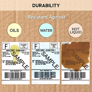 Arkscan SL450 4x6" Shipping Label in 1 Roll (450 Pages per roll) for Arkscan 2054A, Zebra LP2844 Zp-450 Zp-500 Zp-505 & Zebra Compatible Printers, Direct Thermal, White