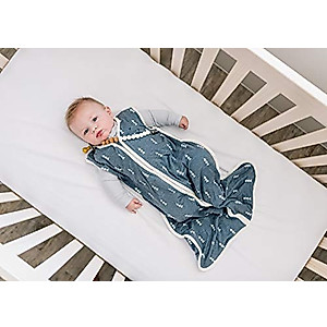 Copper Pearl Sleep Sack: Warm and Cozy Baby Bag in a Variety of Trendy Designs, Safe Alternative to Blankets, Sleeveless Baby Sleep Sack Swaddle Sizes Newborn to 24 Months - North