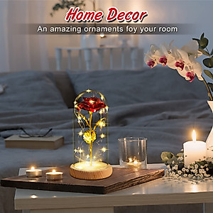 Klysimath Beauty and The Beast Rose, Red Rose Gifts for Women, Forever Rose in Glass Dome, Enchanted Rose Romantic Gifts for Her, Girlfriend, Wife, Mom, Valentine's Day, Mother's Day