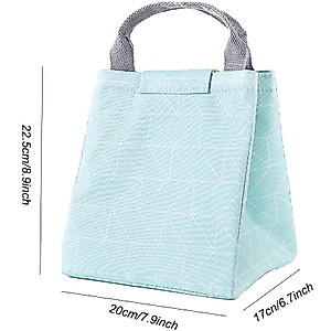 2 Pack Insulated Lunch Bags, Work Travel Picnic School Bento Lunch Bag - Durable & Waterproof Lunch Organizer Lunch Tote for Men, Women and Kids