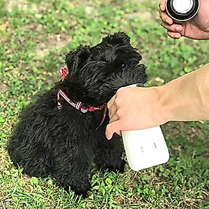 S'well Stainless Steel Traveler-Triple-Layered Vacuum-Insulated Containers Keeps Drinks Cold for 21 Hours and Hot for 9-with No Condensation-BPA Free Water Bottle, 1 Count (Pack of 1), Moonstone