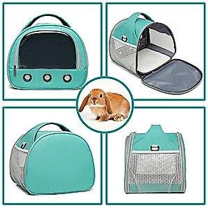 Small Animal Carrier Bag - Portable Hamster Carrier Outgoing Travel Pouch, Breathable & Perspective, Perfect for Parrots Ferret Hedgehog Squirrel Chinchilla Sugar Glider (Green)