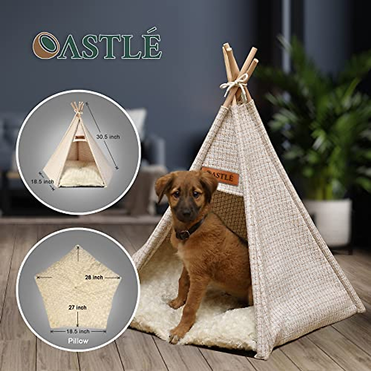 OASTLÉ Dog & Cat Teepee, Small to Medium Pet Teepee Bed with Thick Plush Pad, 27 Inch Tall, Cat Teepee and Dog Tent Bed for Pets Up to 20lbs