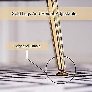 Olela Accent Chair with Arms Upholstered Velvet Side Chairs for Living Room Bedrooms Comfy Decortive Modern Mid-Back Leisure Chair with Adjustable Footpad (Brown)