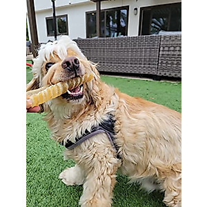 hotspot pets Premium Beef Trachea for Dogs 6" Strips Split - All Natural Grass-Fed Beef Dog Chews, Rich in Glucosamine Chondroitin for Joint Health, Single Ingredient No Rawhide Dog Treats