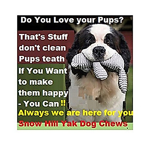 Snow Hill Himalayan Yak Milk Natural Dog Chews XXL 2 Pieces Long Lasting, Odor Stain Gluten GMO Free Protein-Rich Yaky Cheese Treats for Crazy Chewer improved Oral Health