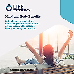 Life Extension Standardized Cistanche – Supports Immune & Cardiovascular Health – Gluten-free – Non-gmo – Vegetarian – 30 Vegetarian Capsules