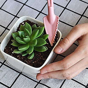 KALIM 16Pcs Succulent Plant Tools, Mini Planting/Transplanting Gardening Tool Set for Indoor Miniature Garden Plant Care(Pink)