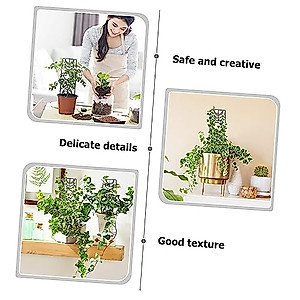 YARNOW 6 Pcs Cucamelon Plants Floral Vines Green Roses Trellis for Climbing Plants Outdoor Plant Vine Trellis Plant Grow Potted Plants Climbing Holder Orchid Climbing Rack Garden Supplies