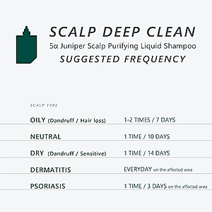 Aromase 5 Juniper Scalp Purifying Liquid Shampoo, 9.1 fluid ounces, Helps to Soften Scalp Buildup, Ideal for Dandruff, Psoriasis, Dermatitis, Dry & Sensitive , Oily hair, Exfoliator