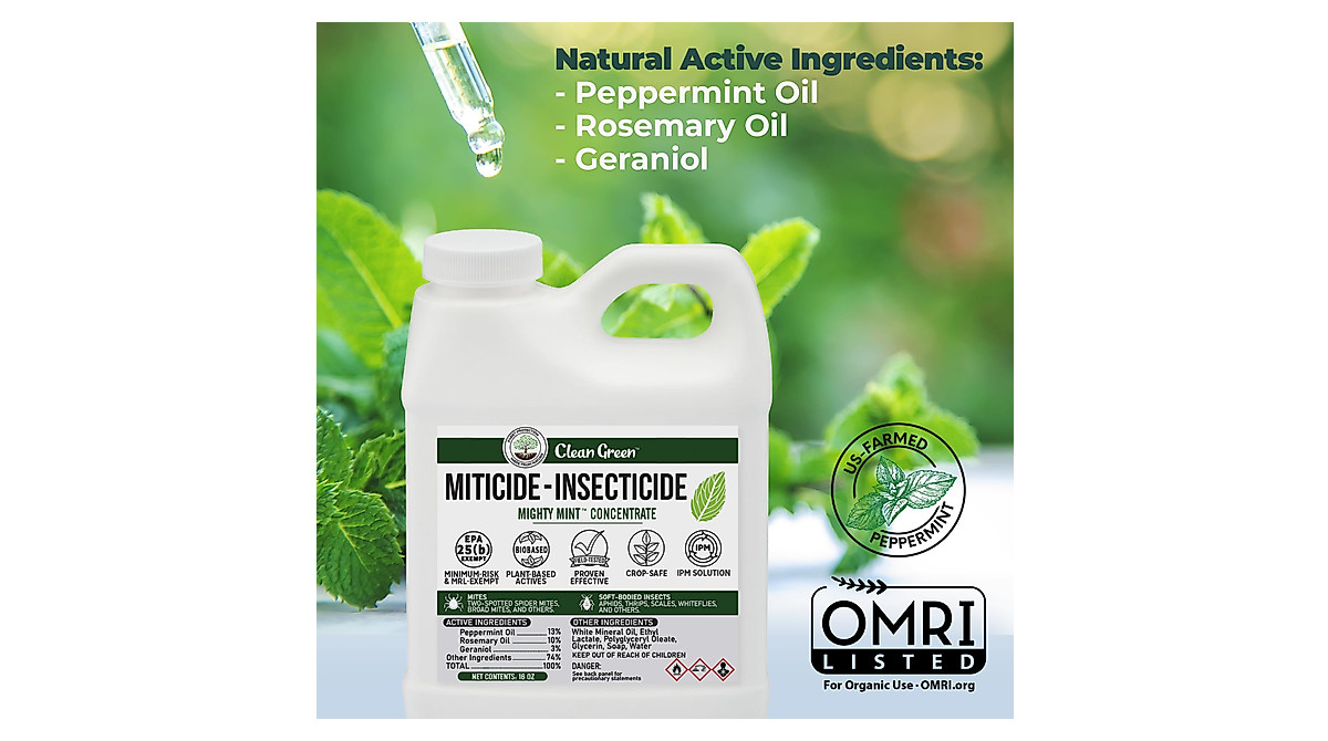 Clean Green Miticide - Effective 16oz Organic Insecticide